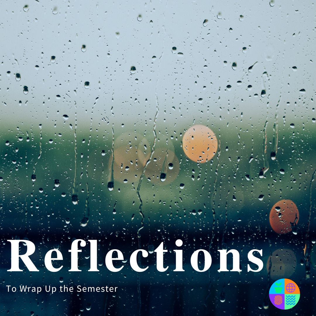 Reflections – Somewhere to Share
